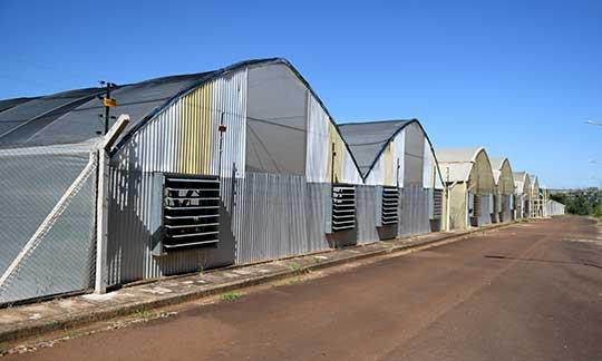 La Biofábrica por dentro